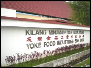 Oem Drinks – OEM Can Beverage Business Expert