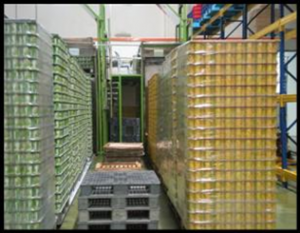 Oem Drinks – OEM Can Beverage Business Expert