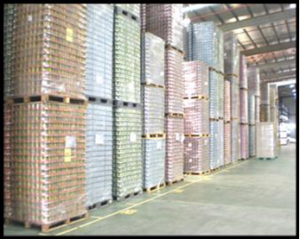 Oem Drinks – OEM Can Beverage Business Expert