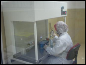 Oem Drinks – OEM Can Beverage Business Expert